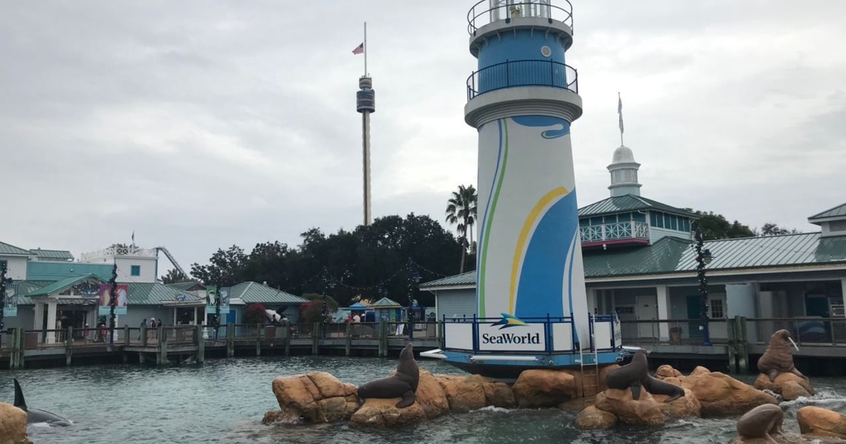 SeaWorld Orlando | Open Coaster
