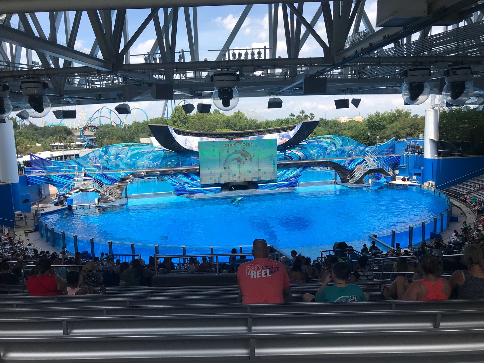 Orca Encounter @ SeaWorld Orlando | Open Coaster